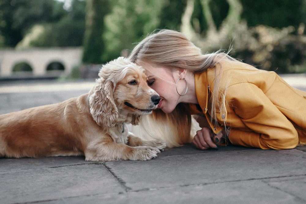 Revealed: The Top Ten Dog Names 2020 – Chow Bella Ltd